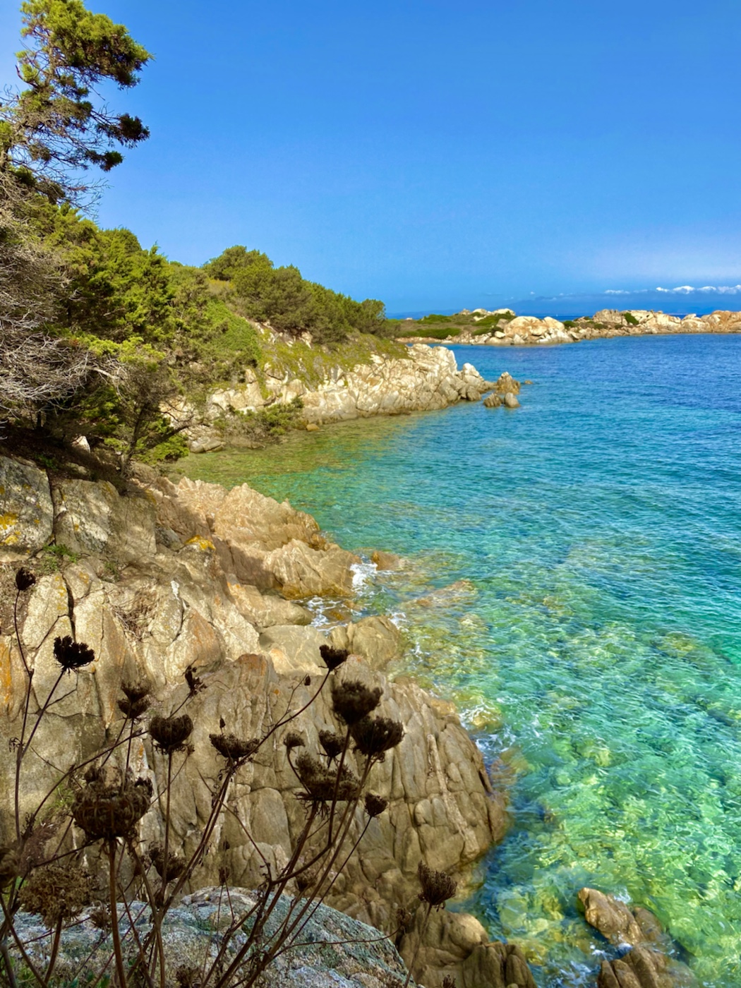 Isola dei Gabbiani – Alex auf Reisen